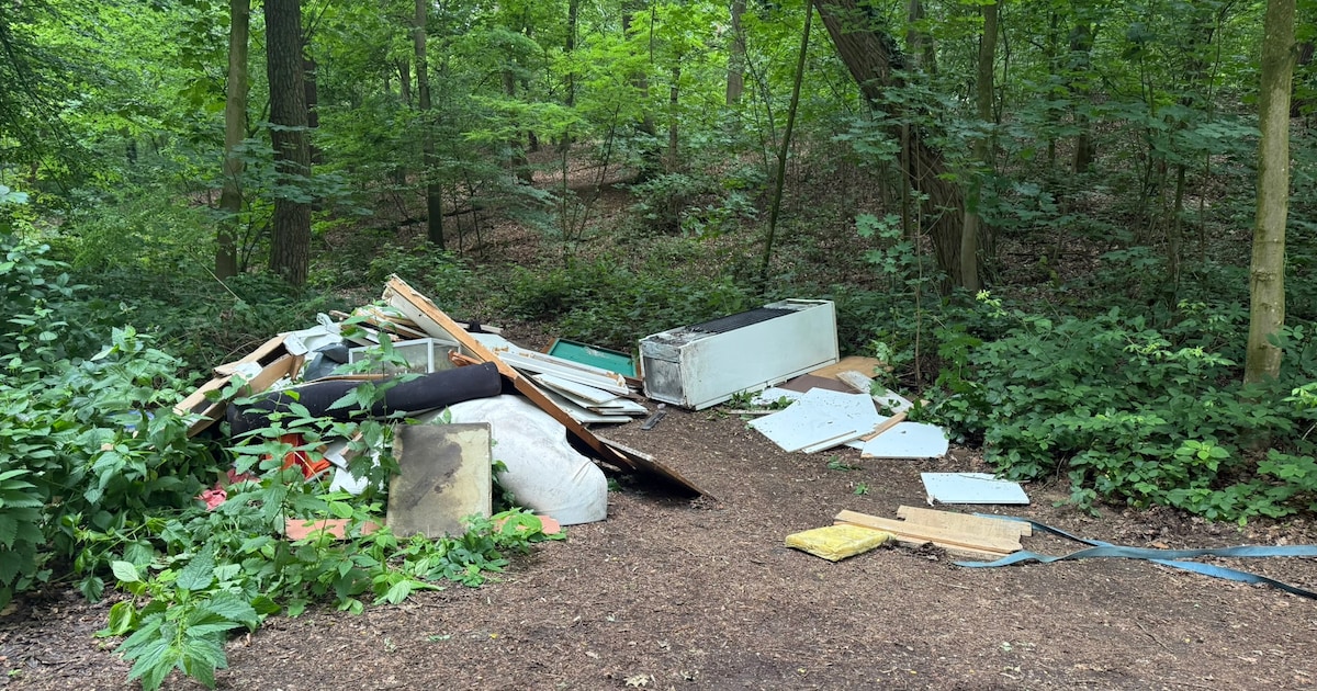 Bad, koelkast en biljart in bos: dumper niet meer te achterhalen ...