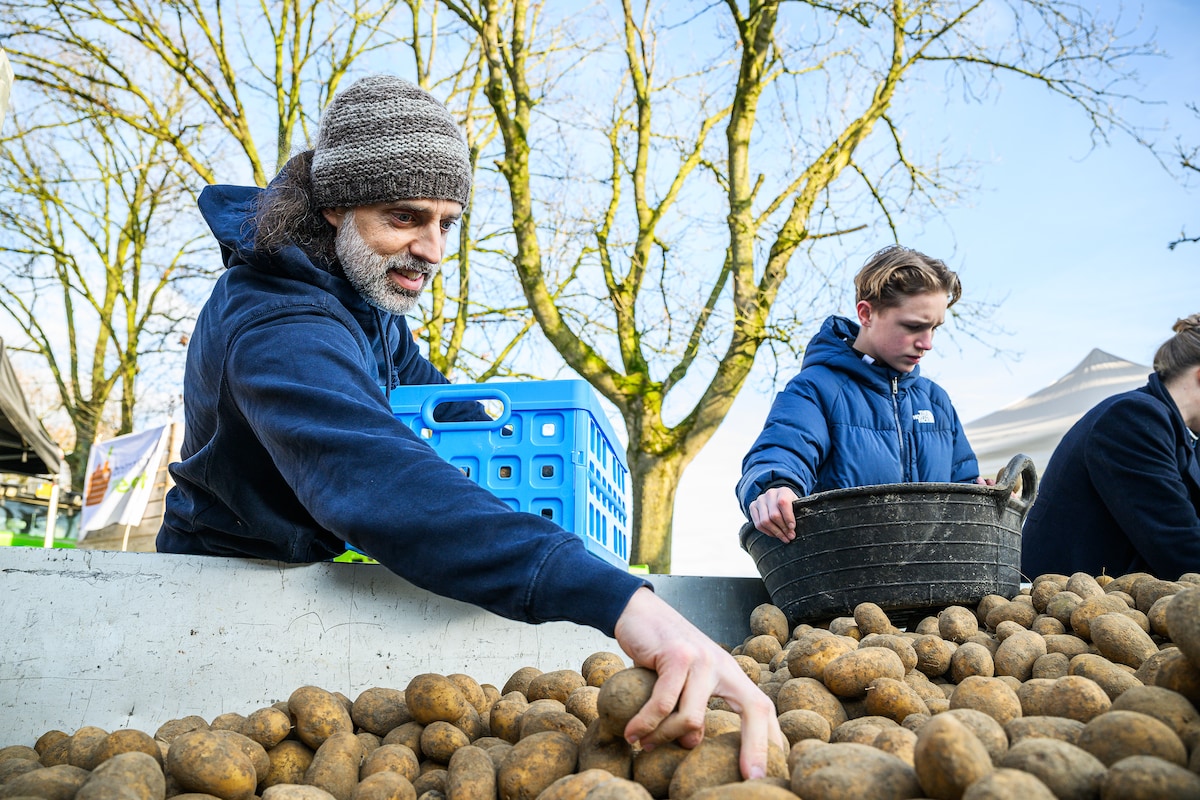 Honderden mensen redden vandaag 60.000 kilo ‘aardappelkneusjes’ op erf van boer Jan-Willem ...