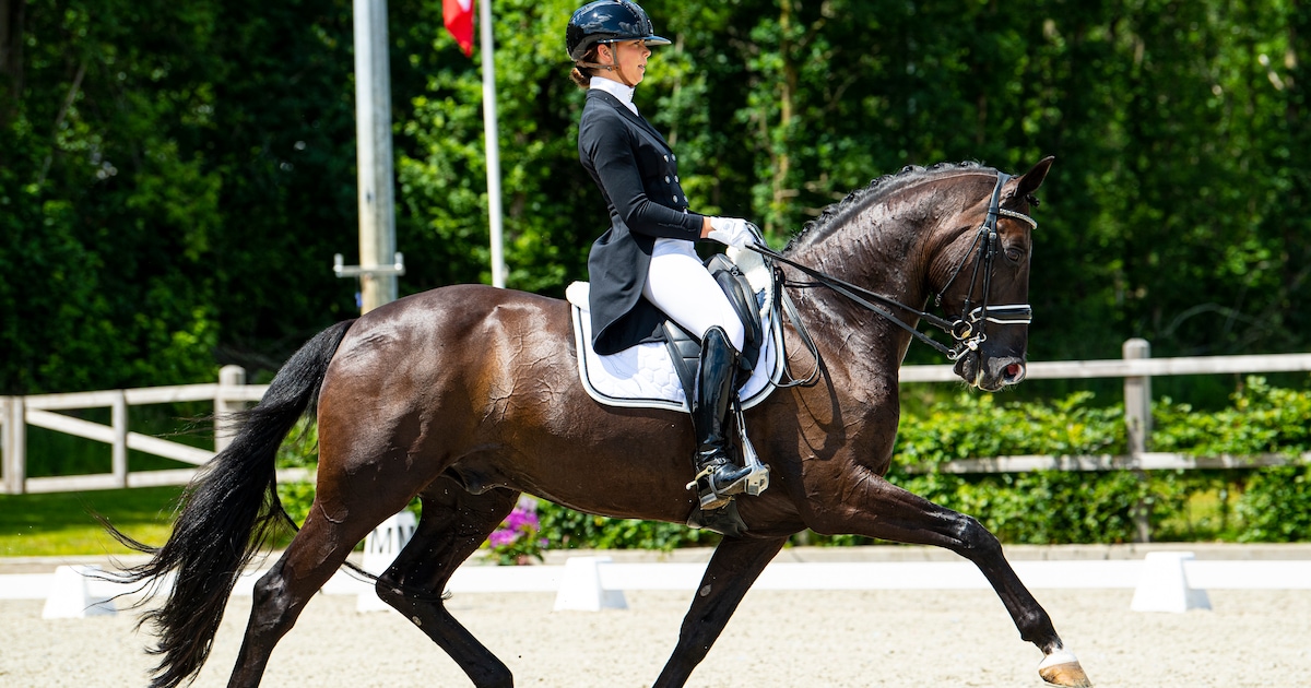 Van Zwambagt met eigen paard naar EK dressuur: ‘We hebben het mooi ...