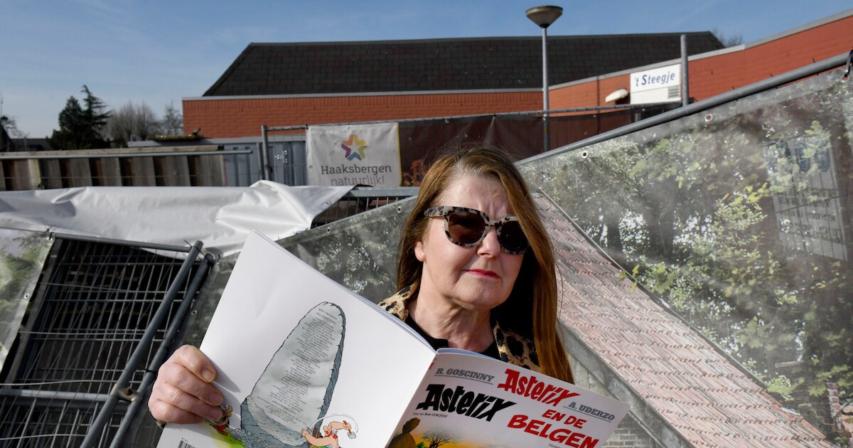 Gallisch dorpje in Twente: Klein gebouwtje trotseert grootgrutter ...
