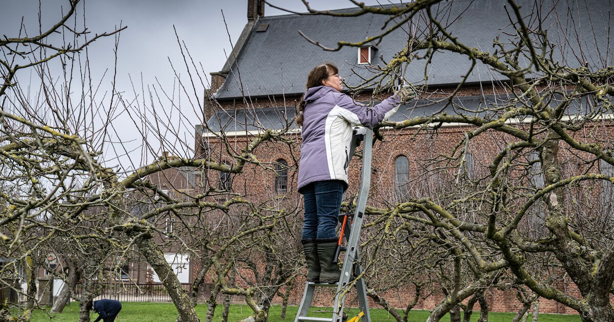 Het gereedschap staat nu nog in de kerk, maar de nieuwe dorpsschuur van ...