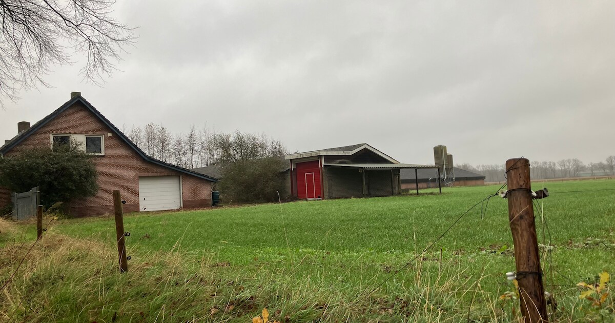 Keldonkse buurt stelt ruil voor: jullie de arbeidsmigranten en wij de ...