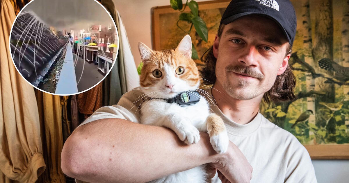 Deze kat draagt een halsband met camera en dat blijkt schot in de roos ...