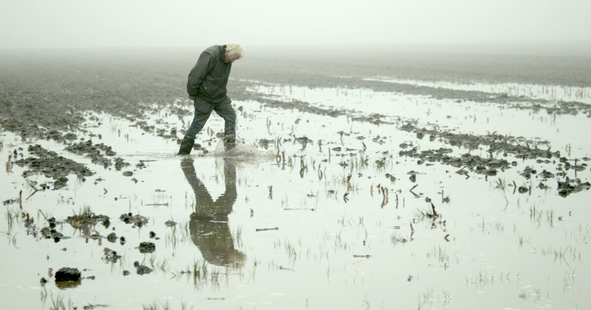 Osse filmmaker volgde boer Gerlach: ‘Met dezelfde toewijding als dat ...