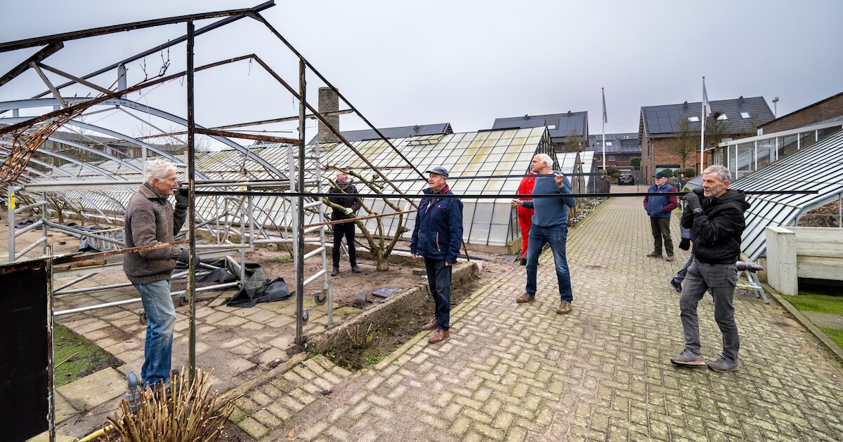 Monumentale kassen Mea Vota kunnen er weer 100 jaar tegen: ‘Elke ...