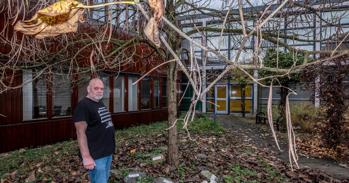 Paul Linssen waakt over speciale boom voor overleden leerlingen en ...