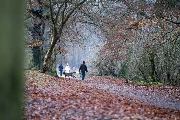 Komende week gaat het vriezen: nazomer nu echt voorbij | Binnenland ...