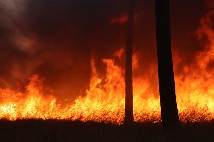 ‘We zijn er nog niet’: brandweer nog massaal aanwezig na hele nacht blussen van bosbrand in ...