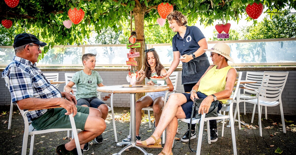 Nieuw in Druten: een aardbeienterras. ‘Dit is leuker dan schoonmaken ...