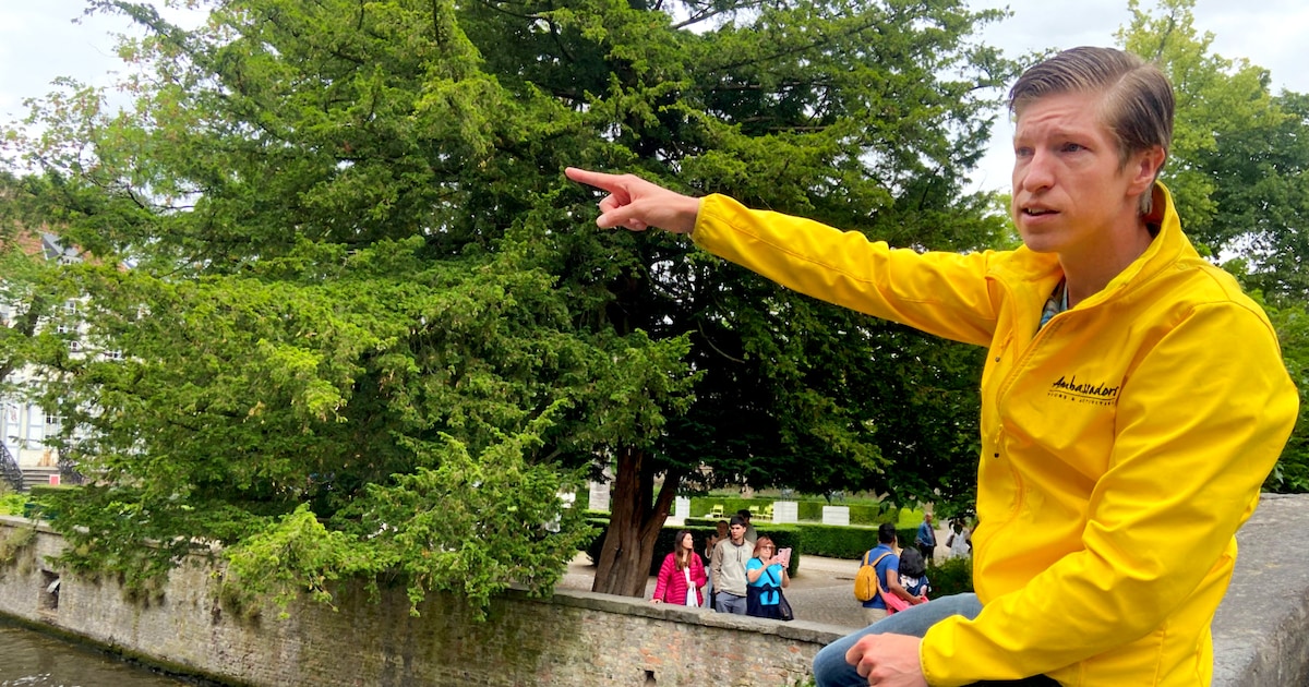 Stadsgids Pascal uit Zevenaar viel na duw 3 meter naar beneden in het ...