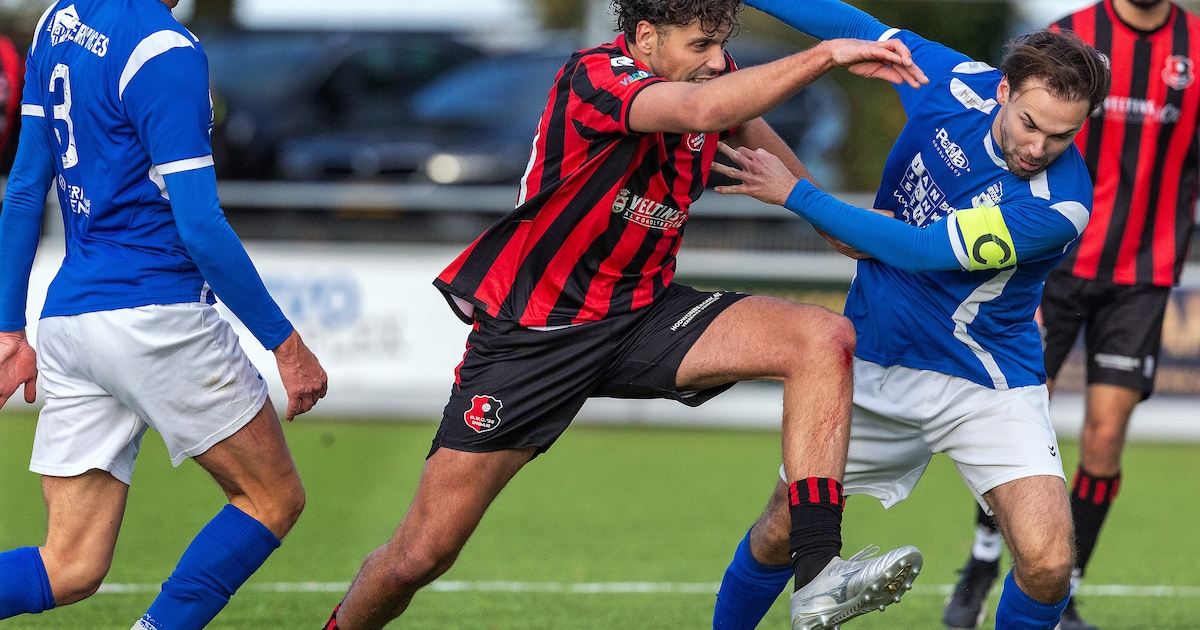 Straatschoffie valt op tussen de ‘heel nette en timide’ DVC-spelers: ‘We missen gogme ...