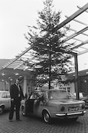 Het is Kerst! 5 x oude kiekjes van kerstbomen in Breda | Foto ...
