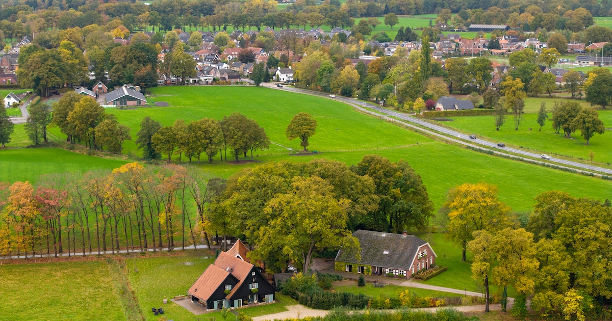 Wanneer man een boom kapt op eigen erf, komen de groene boa’s langs ...
