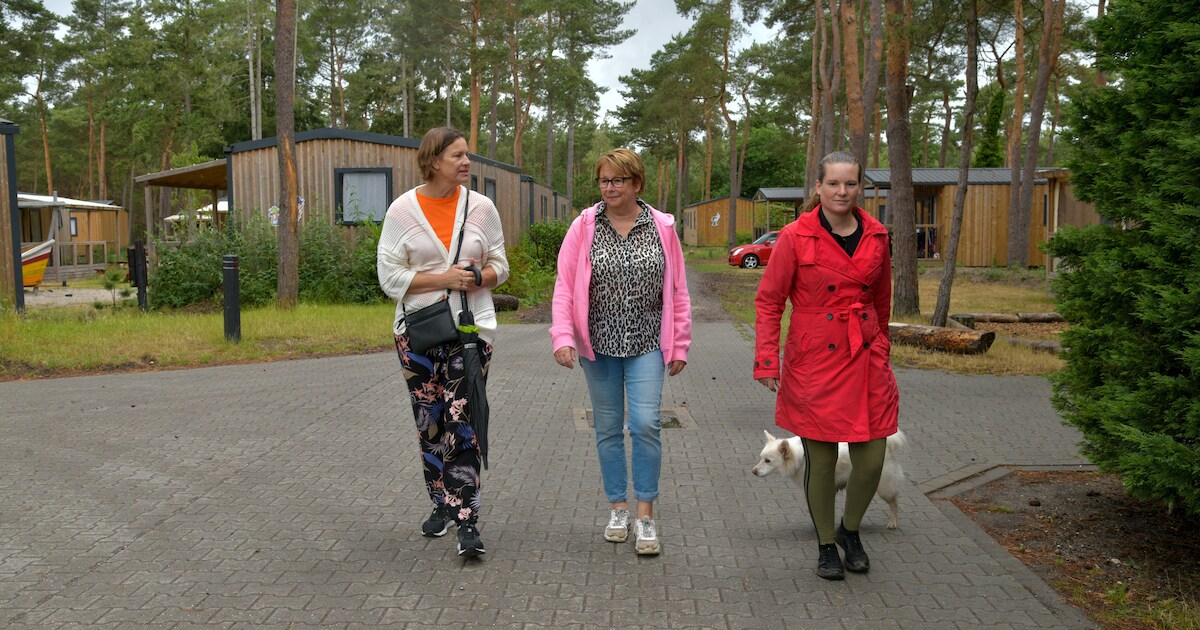 Campinggasten vrezen gesloten slagboom: ‘Poepende koe verboden, maar ...