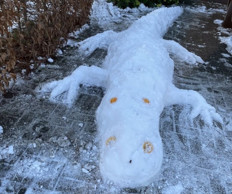 LIVE Sneeuw in Brabant | Woensdag code oranje in Brabant, verschillende ...