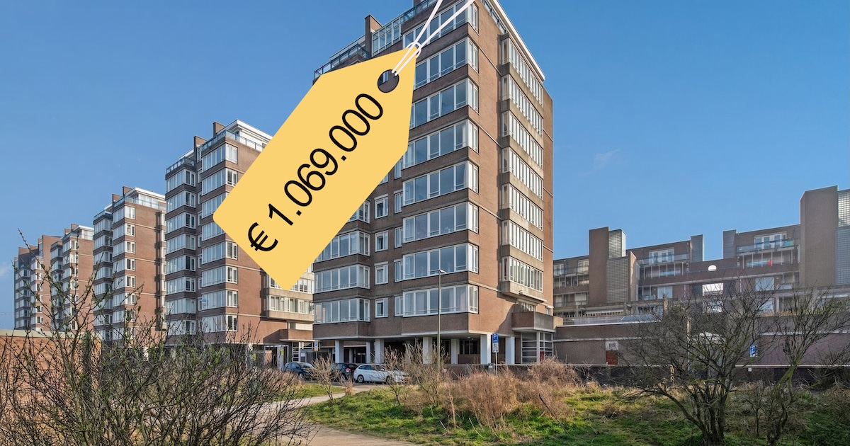 Van 65.000 naar 223.000 miljoenenwoningen in 5 jaar tijd: ‘Ook simpel ...