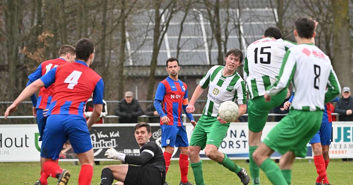 Na omzwervingen bij NEC, JVC, De Treffers, Orion en AWC keert Rai ...