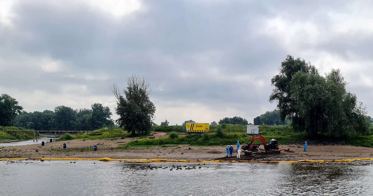Schoonmaakactie vervuild Waalstrandje begonnen: gebied tussen ...