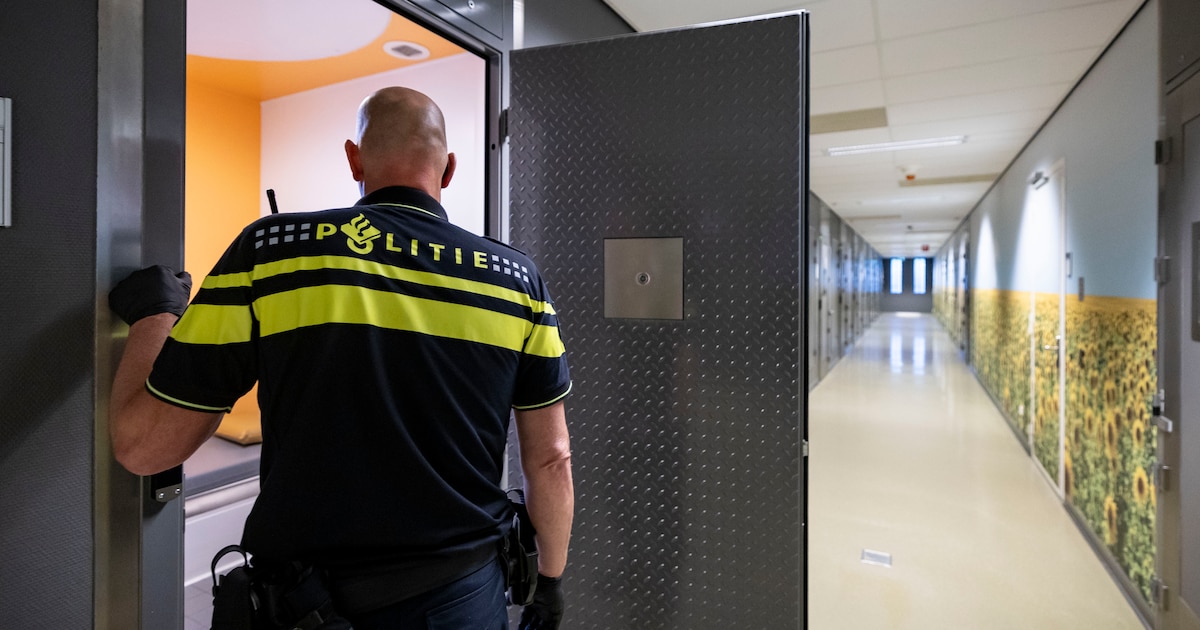 ‘We moesten met vijf man op hem zitten’: dit maken agenten mee rond de ...
