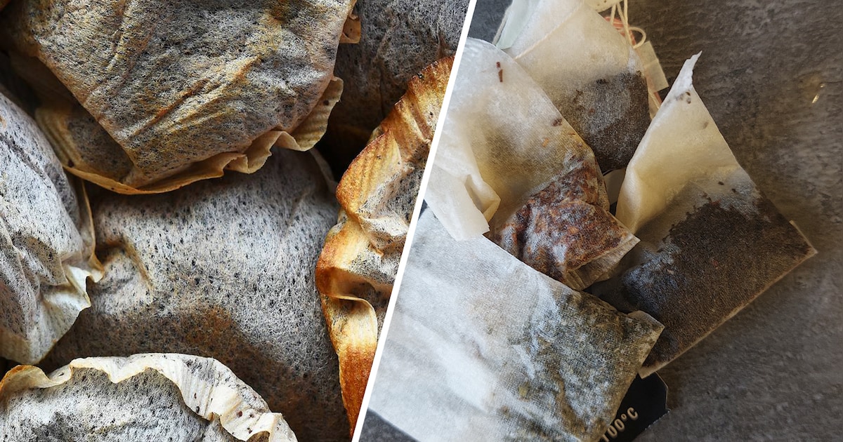 Je deed het misschien al, maar nu mag het echt: dit afval kan voortaan ...