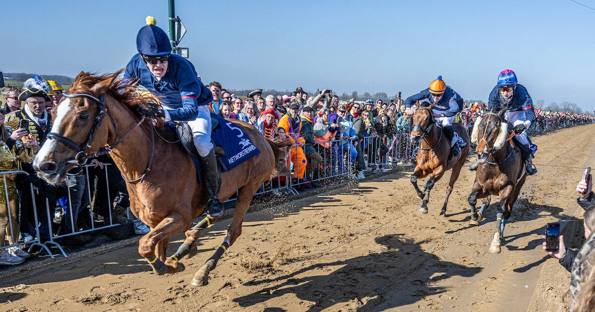 Paard één centimeter te klein? Jammer dan, deelname aan Metworst zit er ...