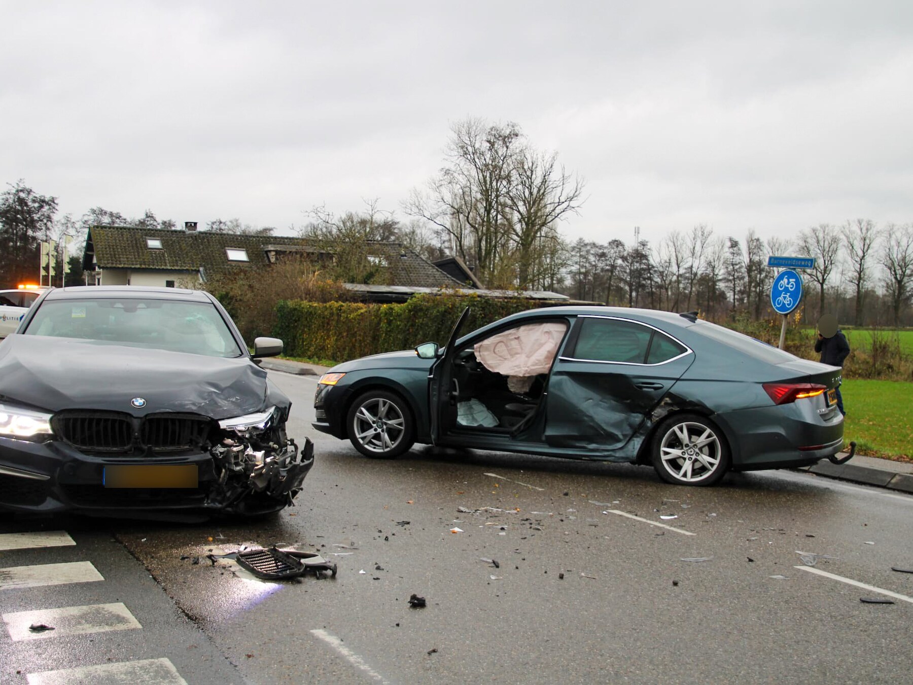 Hallo wereld! Koalajong in Ouwehands Dierenpark steekt voor het eerst ...