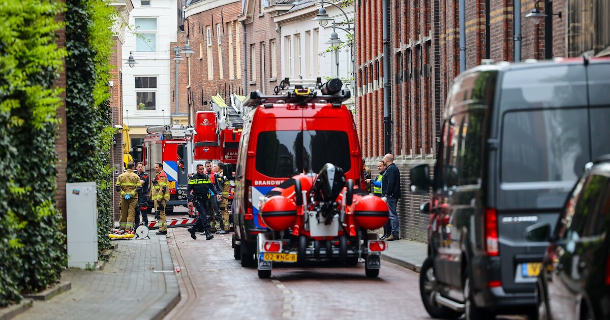 Dode uit het water van de Binnendieze gehaald in Den Bosch, geen sprake ...