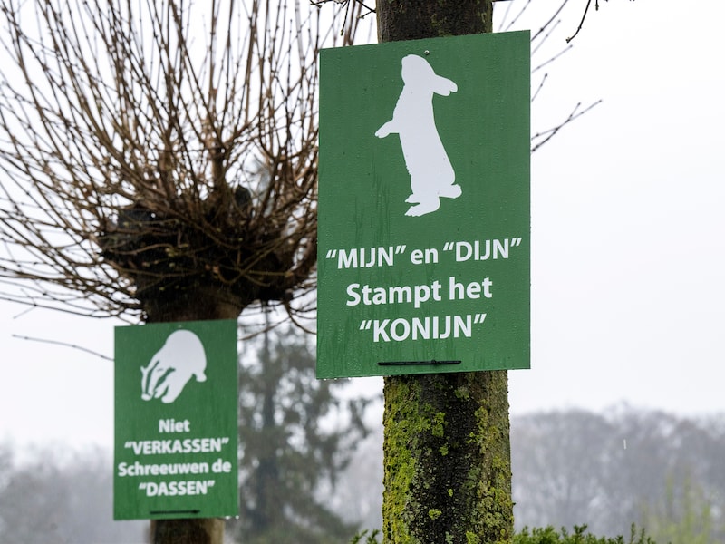 Nieuwe Ik buurt mee!-waardecheque in Rheden beschikbaar | Regio | De ...