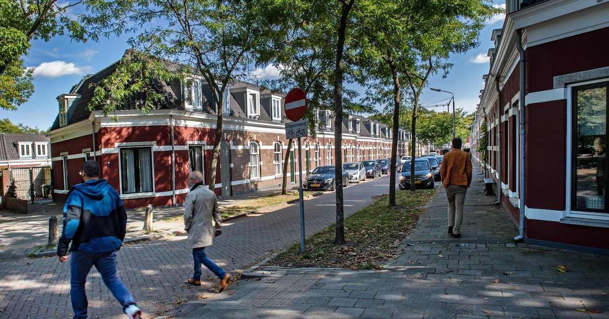 Volksbelang: Nijmeegs fonds voor meerwaarde in huisvesting | Nijmegen ...