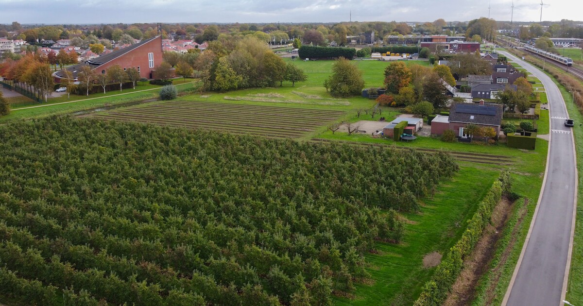 Bewoners bang voor overlast van aso-woningen: ‘We zetten allemaal een ...
