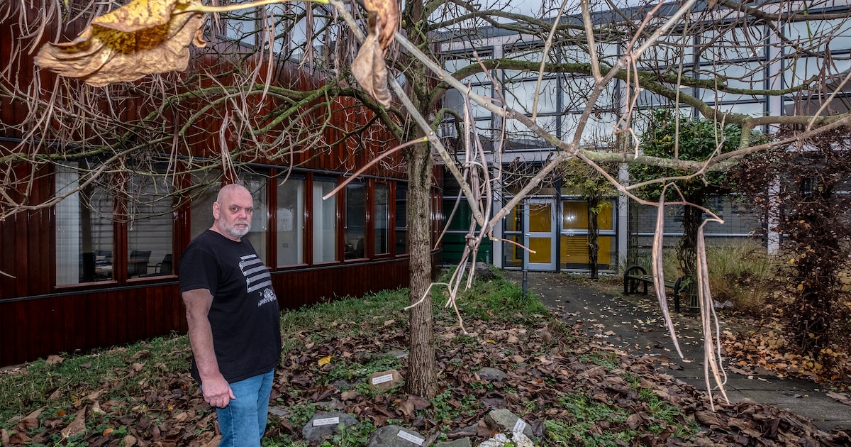 Paul Linssen waakt over speciale boom voor overleden leerlingen en ...