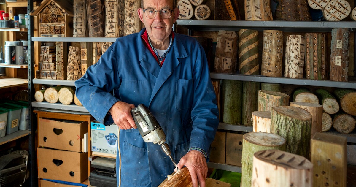 Bert (77) maakt insectenhotels uit boomstammen: ‘Elk insect heeft zijn ...