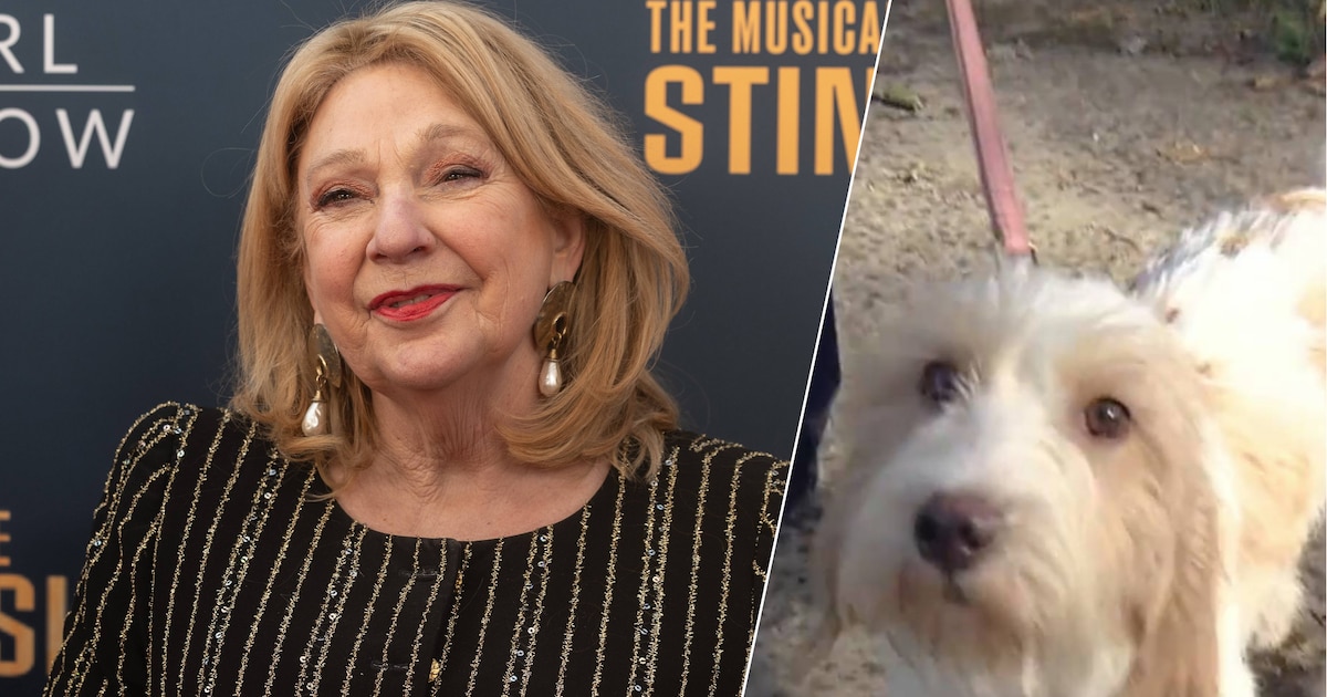 Janny van der Heijden adopteert hondje na verlies van viervoeter Nhaan ...
