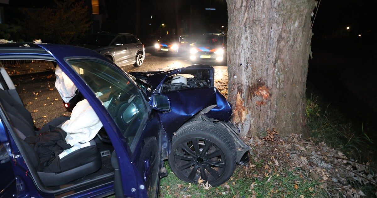 Auto botst frontaal op boom in Haaften | West Betuwe | De Gelderlander.nl