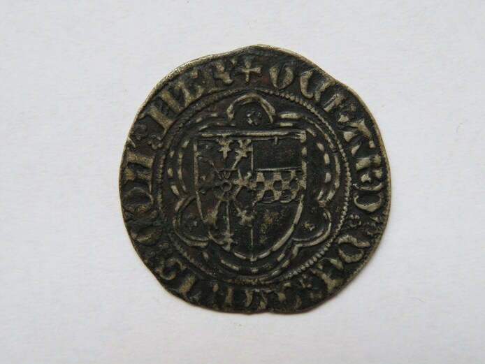 Hoe de dood van een kip leidde tot de vondst van een bijzondere ...