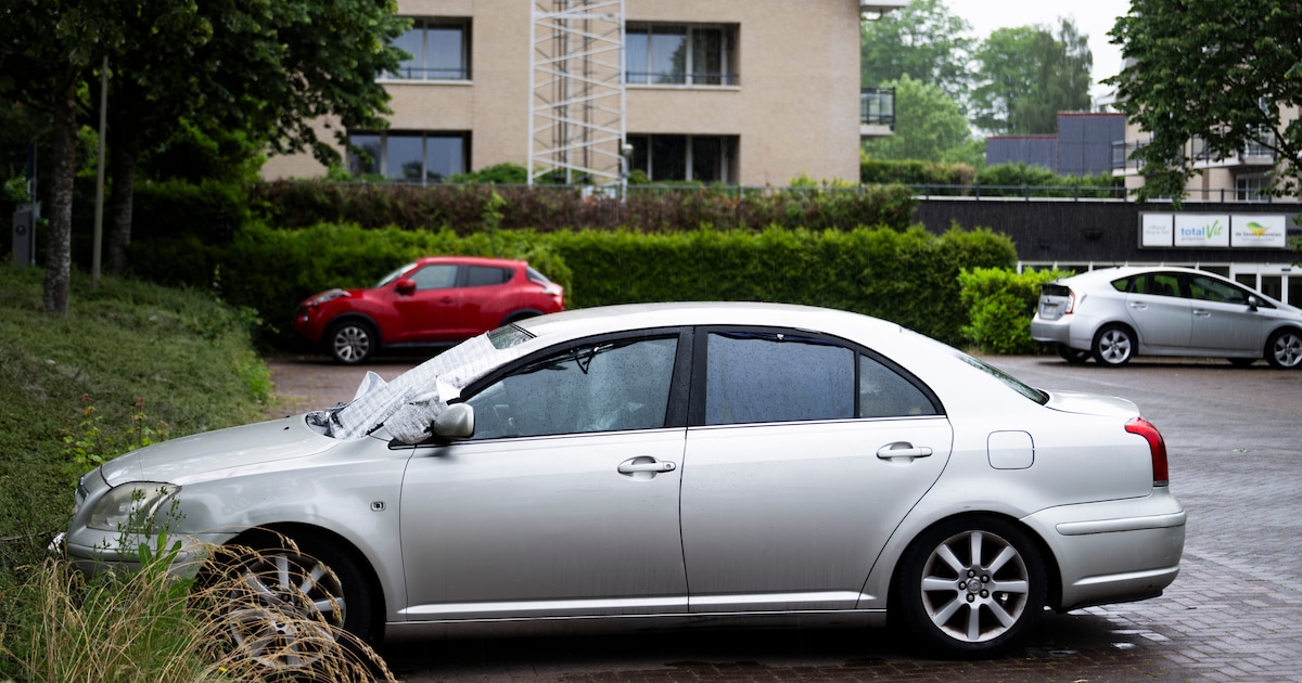 ‘Toyota-stel’ weg van parkeerplaats in Groesbeek, hotel klaagt over ...