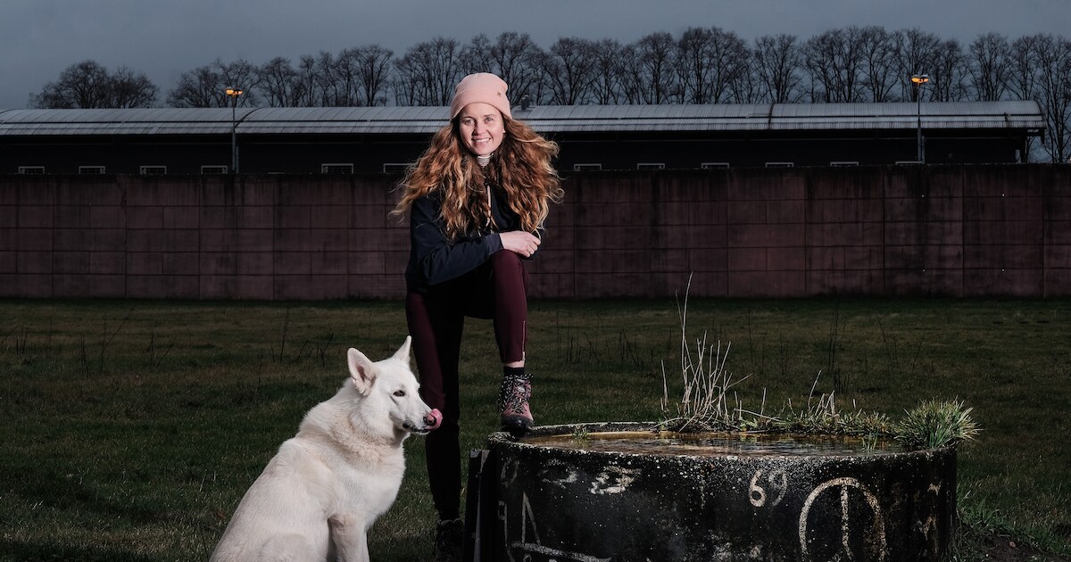 De palmkolen staan als stoersten in de zeewind | Ellen Willems ...