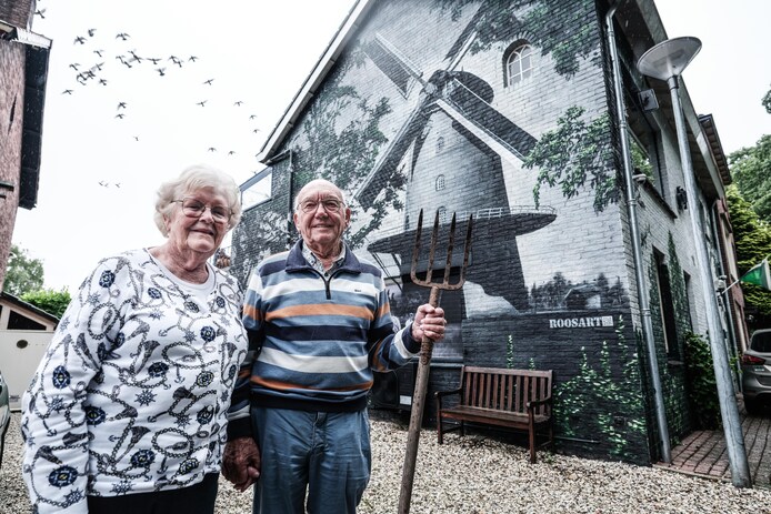 De hele zijmuur van het huis van Ben en Gerda is een kunstwerk, en zo ...