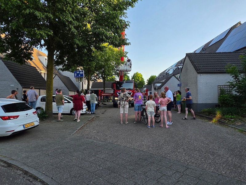 Kat LouLou gered van dakkapel in Ede, reddingsactie trekt veel bekijks ...