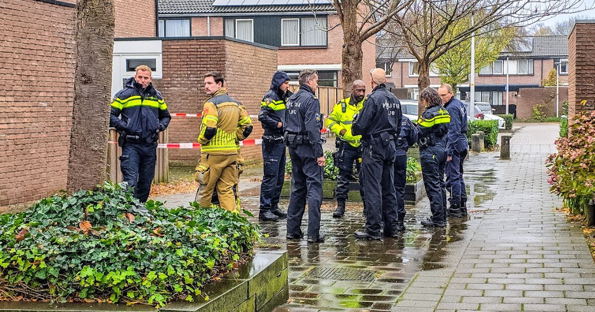 Hasseler Es opgeschrikt door 100.000 klapper; even later brandt het in ...