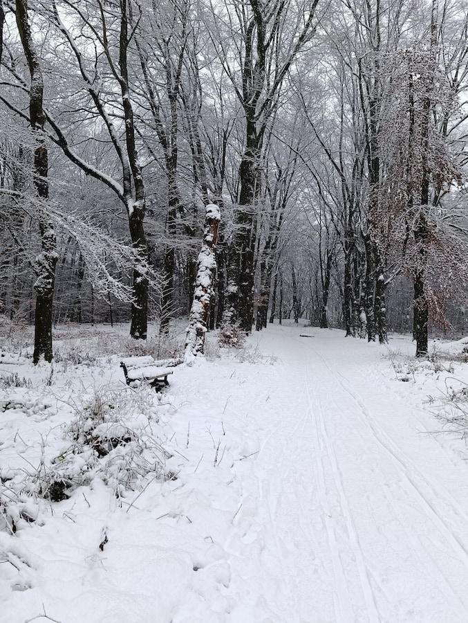 Winterwonderland! Dit zijn jullie mooiste foto's van Ede in de sneeuw ...