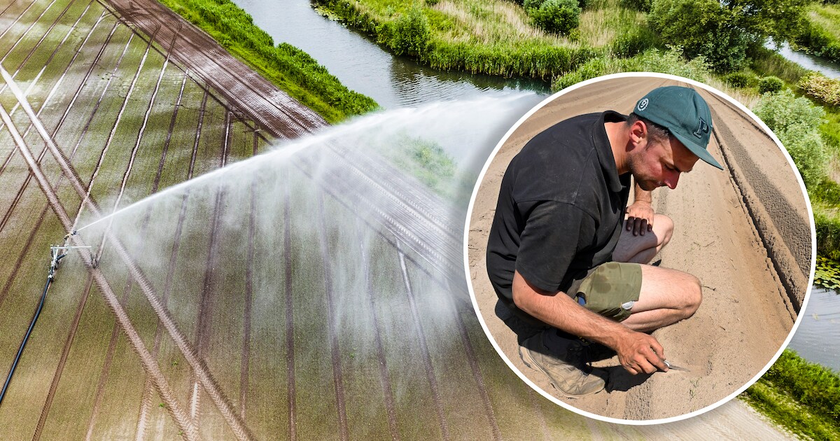 Langste droge periode ooit komt in zicht: is daar wel tegenop te ...