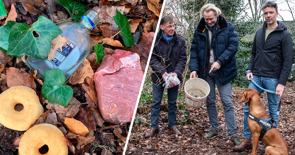 Sluipt er hier een hondenhater rond? Bizar ritueel in bosje zorgt voor ...