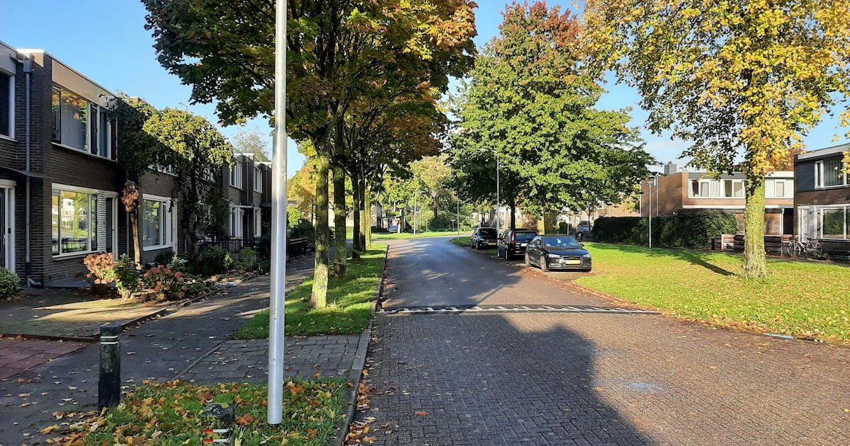 IJsselsteiners bedenken zélf plan tegen hardrijders, afvaldumpers en ...