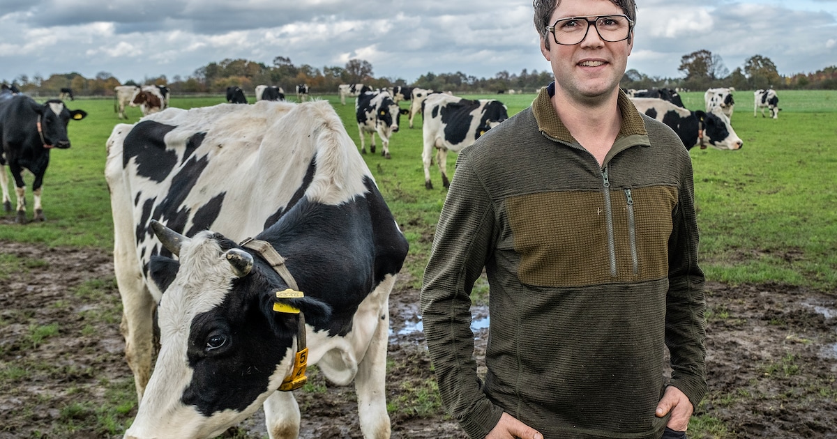 Koeienboer Geert uit Oeffelt in harmonie met de natuur: ‘Ik wilde het ...