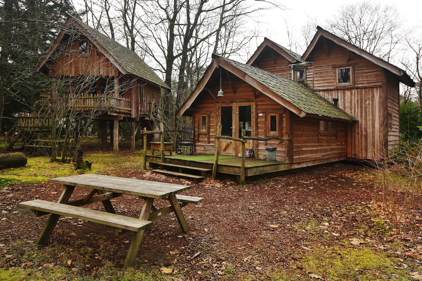 ‘Campingactivist’ Desiree staat kampeerders bij die knokken voor hun ...