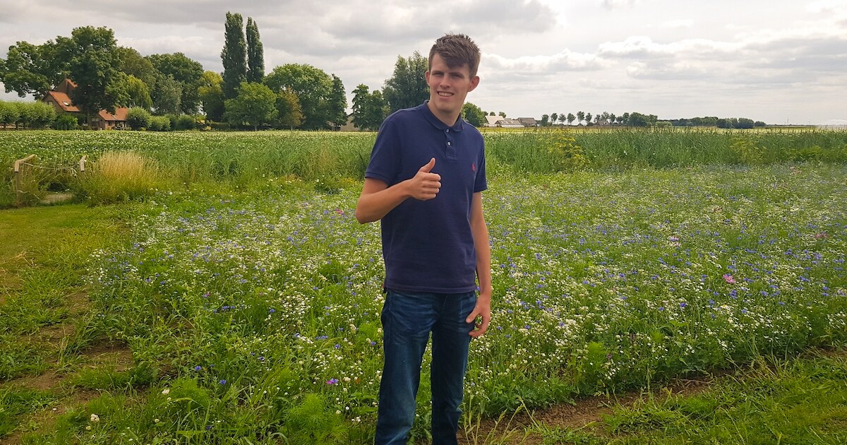 Drama in familie: Jesse (20) verongelukt, Remco (15) zwaargewond: ‘Ik ...