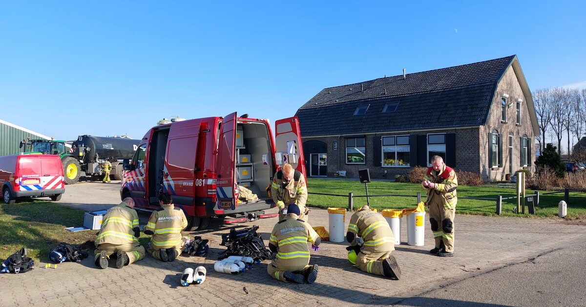 Brandweer redt 60 varkens uit mestput nadat stalvloer het begeeft: boer flink geschrokken; één ...