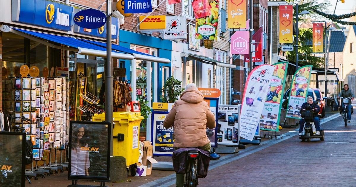 Ziet Goor een autovrij centrum zitten? ‘Het lopen in de stad is nu een crime’ | Berkelland | De ...