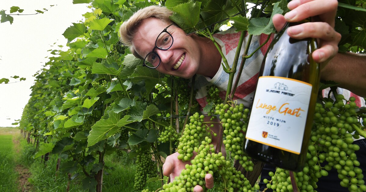 Culemborgse wijnboer Sander (27) eert zijn voorouders met wit, rosé en mousserend | Utrecht | De ...